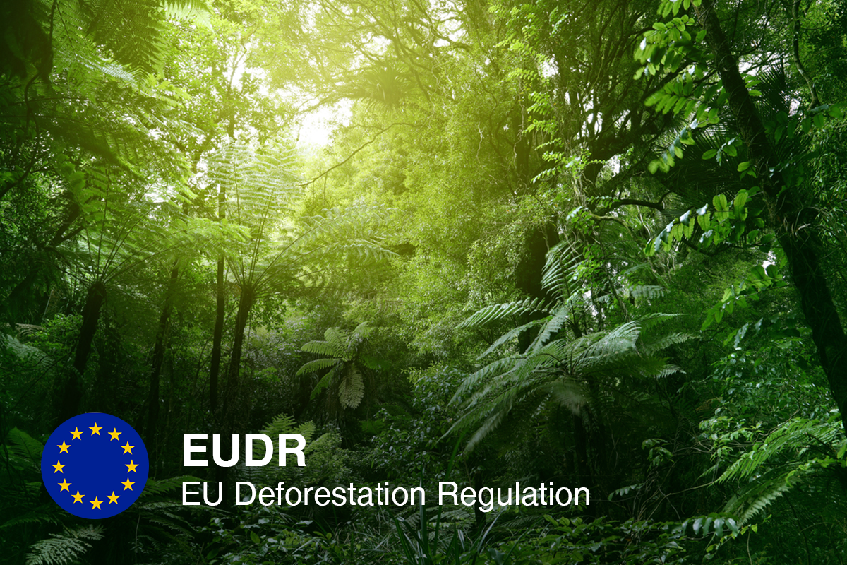 Ad-hoc‑Meldung: Erfolgreiche politische Einigung zur EUDR - Moebel Digital