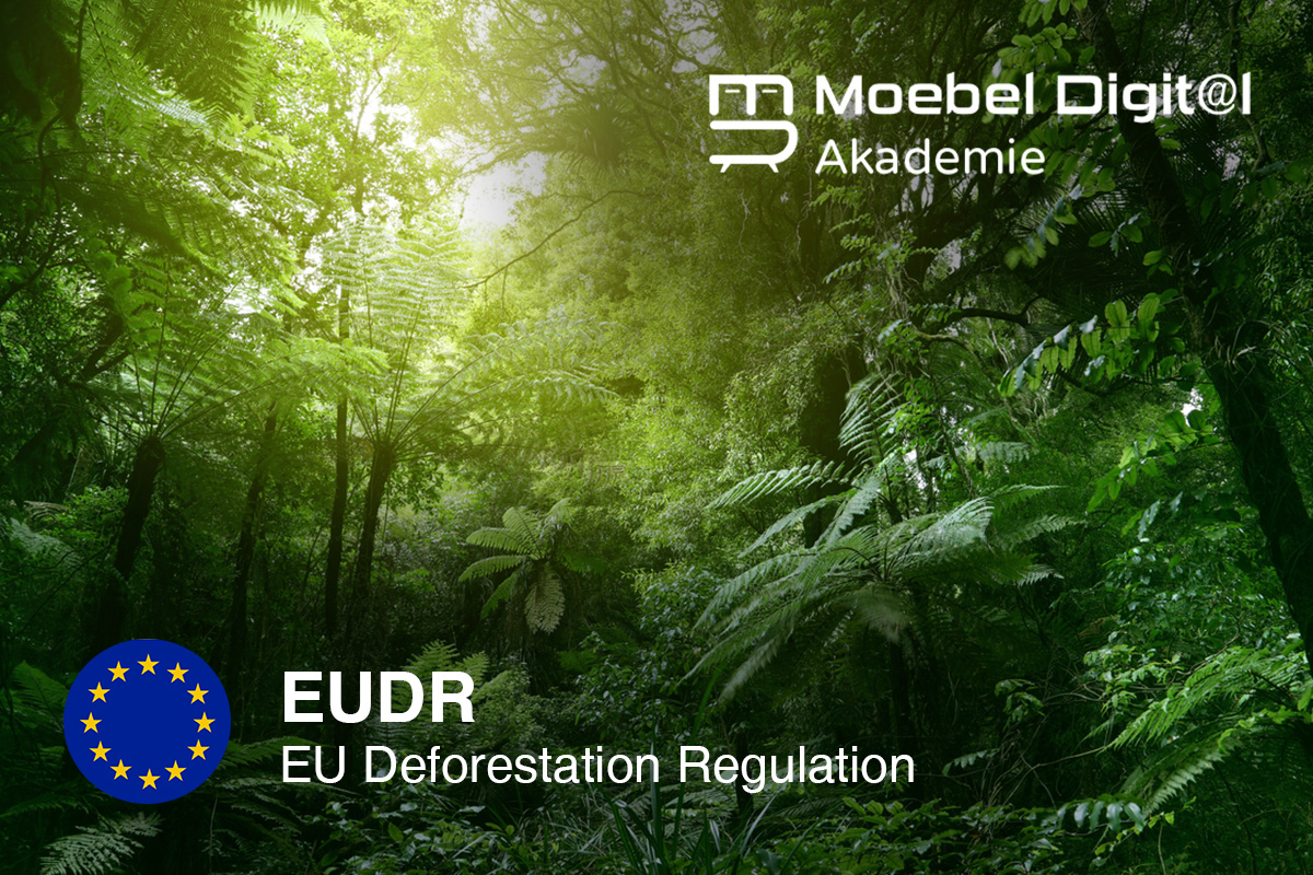 EUDR einfach erklärt: Was Sie jetzt wissen müssen - Moebel Digital